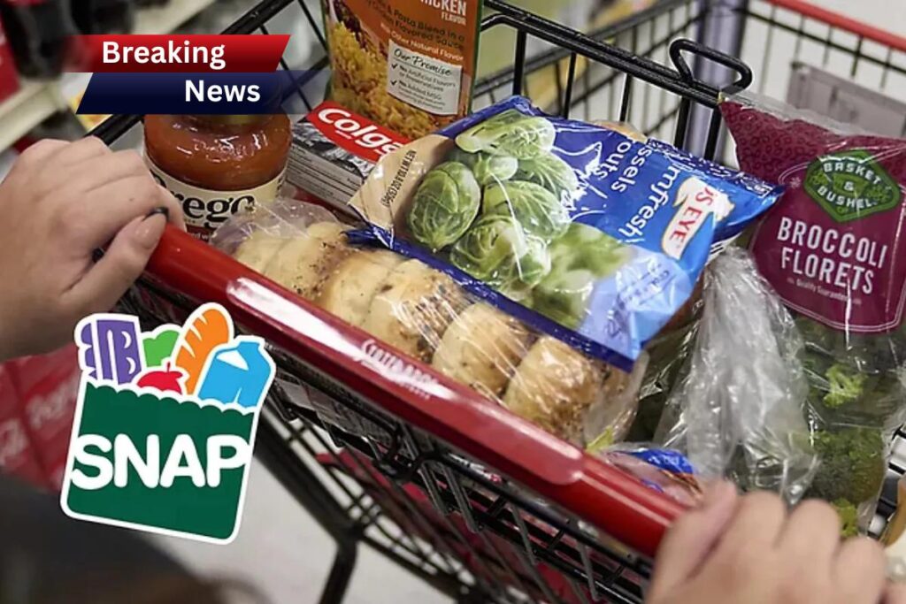 New SNAP requirements went into effect on December 1, 2025: Who is ...